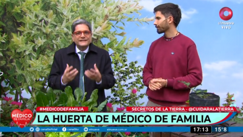 Plantas nativas: por qué su rol es crucial en la vida del resto de la ...