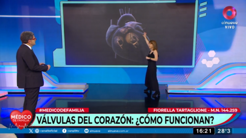 ¿Sabes cómo funcionan las válvulas del corazón? La importancia de ...