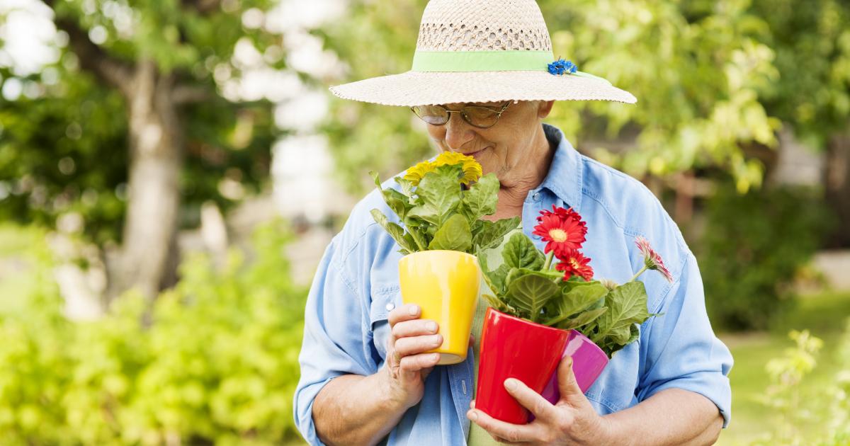 "La fascinante experiencia de oler": Qué importancia tienen aromas y ...