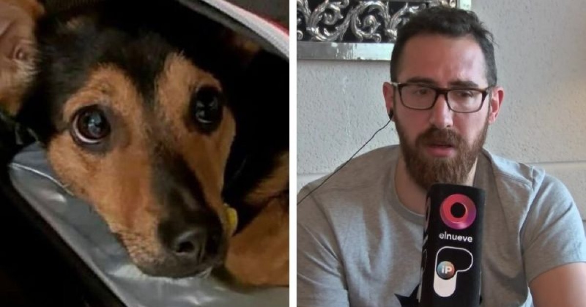 Franco, el dueño de Coco: "Estaba nervioso, sin dormir, comiendo poco y ...