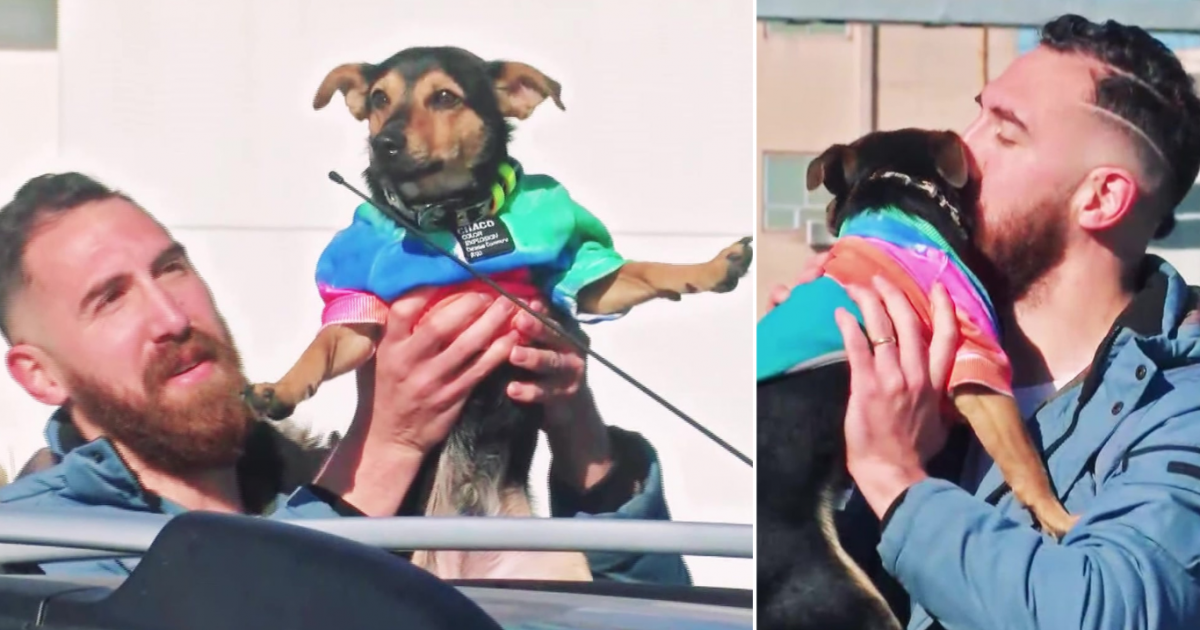 Así fue el emotivo reencuentro del perrito Coco con su papá | Canal 9