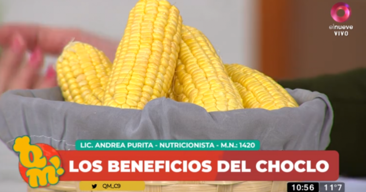 ¿Conocías todos estos beneficios del choclo? | Canal 9