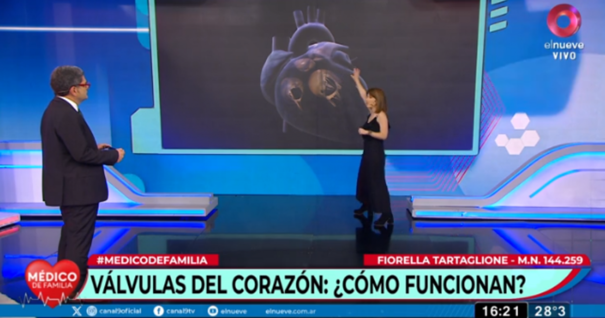 ¿Sabes cómo funcionan las válvulas del corazón? La importancia de ...