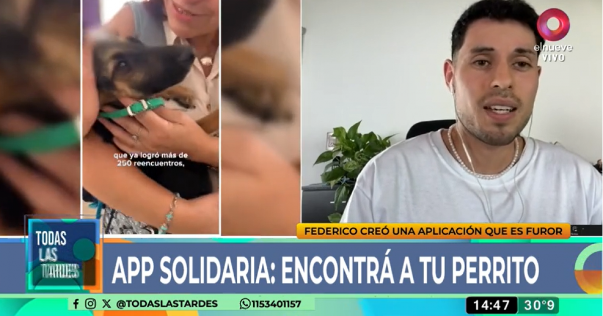 Creó una app para encontrar perros perdidos: ya logró más de 250 ...